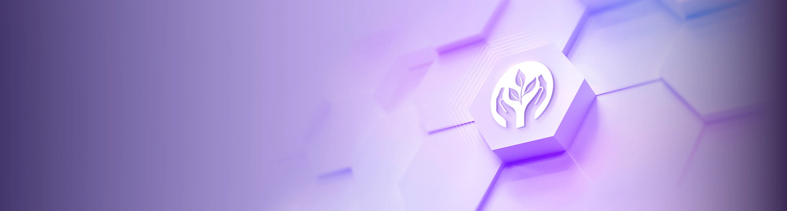 Streamer Supporting System